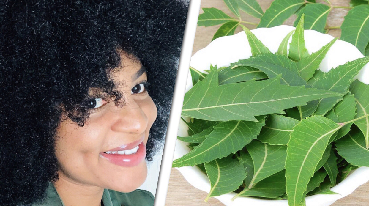 10 Wonderful Benefits And Uses Of Neem Dogoyaro Health GadgetsNG 10 Wonderful Benefits And Uses Of Neem Dogoyaro Health GadgetsNG