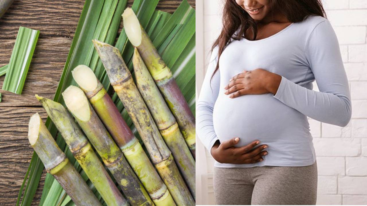 HEALTH BENEFITS OF SUGARCANE DURING PREGNANCY Health GadgetsNG HEALTH BENEFITS OF SUGARCANE DURING PREGNANCY Health GadgetsNG